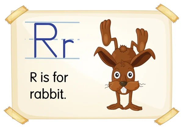 Rabbit teacher Vector Art Stock Images | Depositphotos