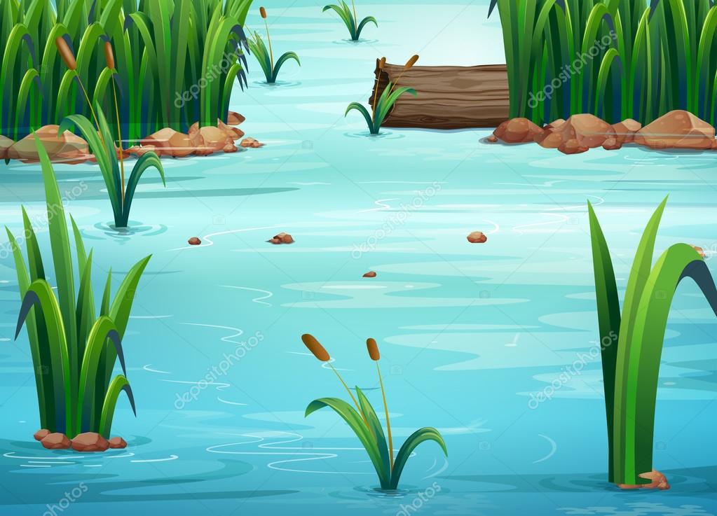 Pond Stock Vector Image by ©interactimages #52593601