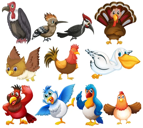 Buitre volando dibujo imágenes de stock de arte vectorial | Depositphotos