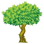 Cartoon green tree isolated on white. Stock Vector Image by ©acidburn ...