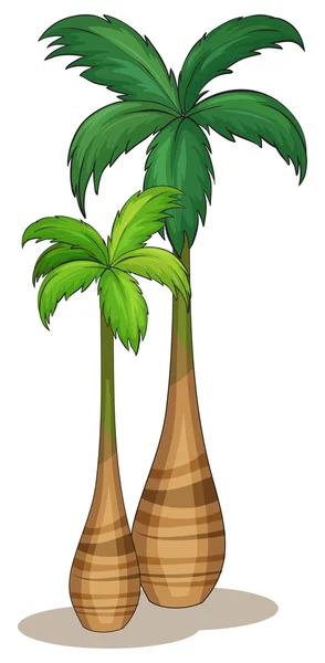 Coconut tree — Stock Vector © interactimages #10274085 Coconut tree — Stock Vector © interactimages #10274085