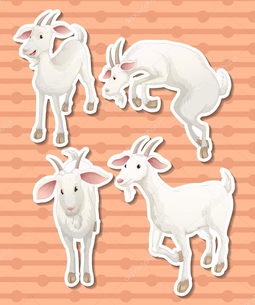 Caprino Vector de stock por ©interactimages 56876251