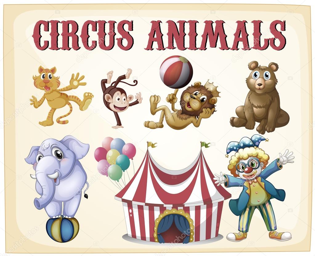 Circus animals Stock Vector Image by ©interactimages #58547667
