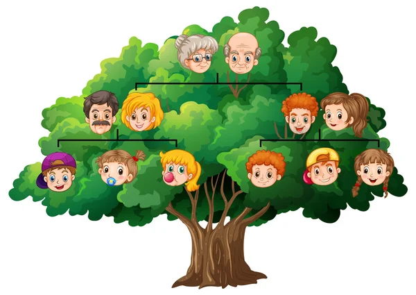 23,445,782 Ilustrasi Stok Family tree | Depositphotos