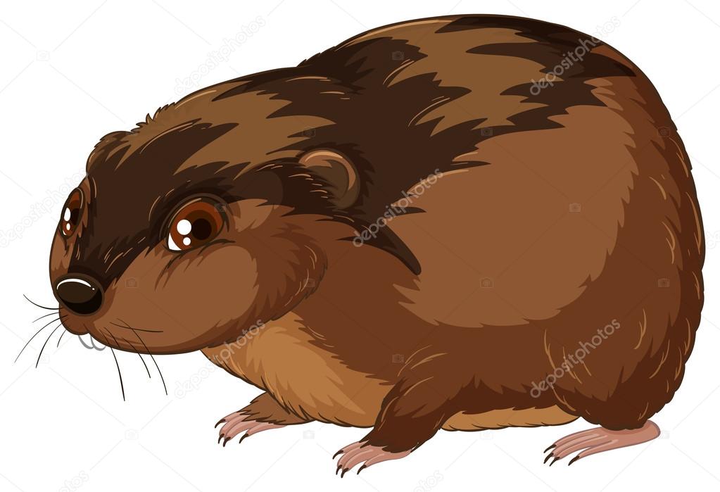 A big mouse Stock Vector by ©interactimages 63873379