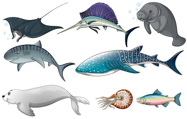 Clip Art Ocean Animals