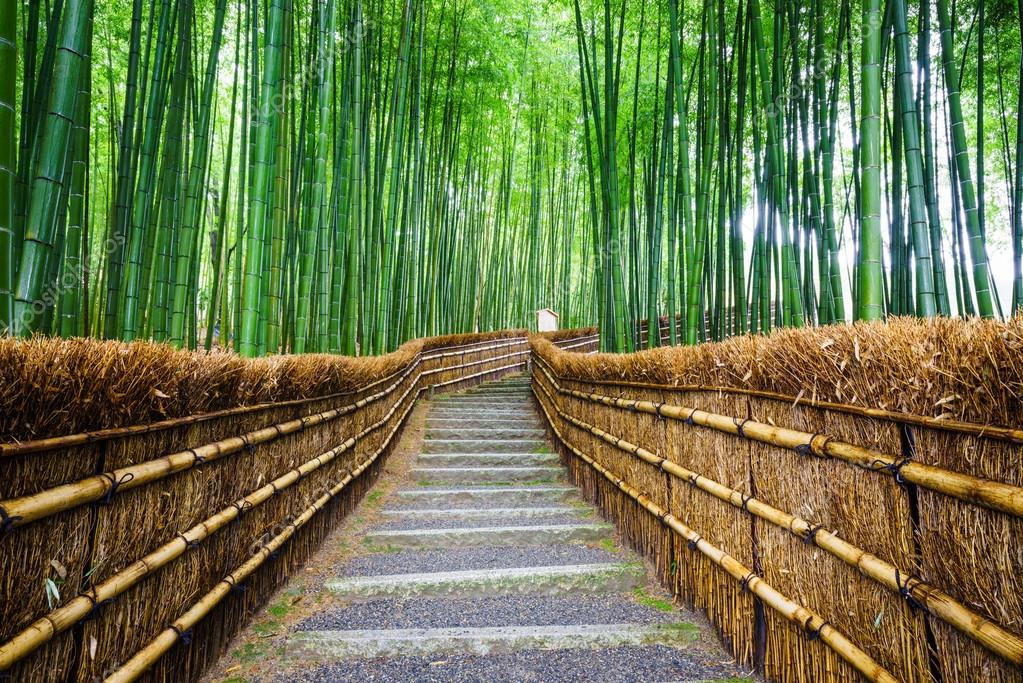 Path to bamboo forest, Arashiyama, Kyoto, Japan — Stock Photo © lkunl ...
