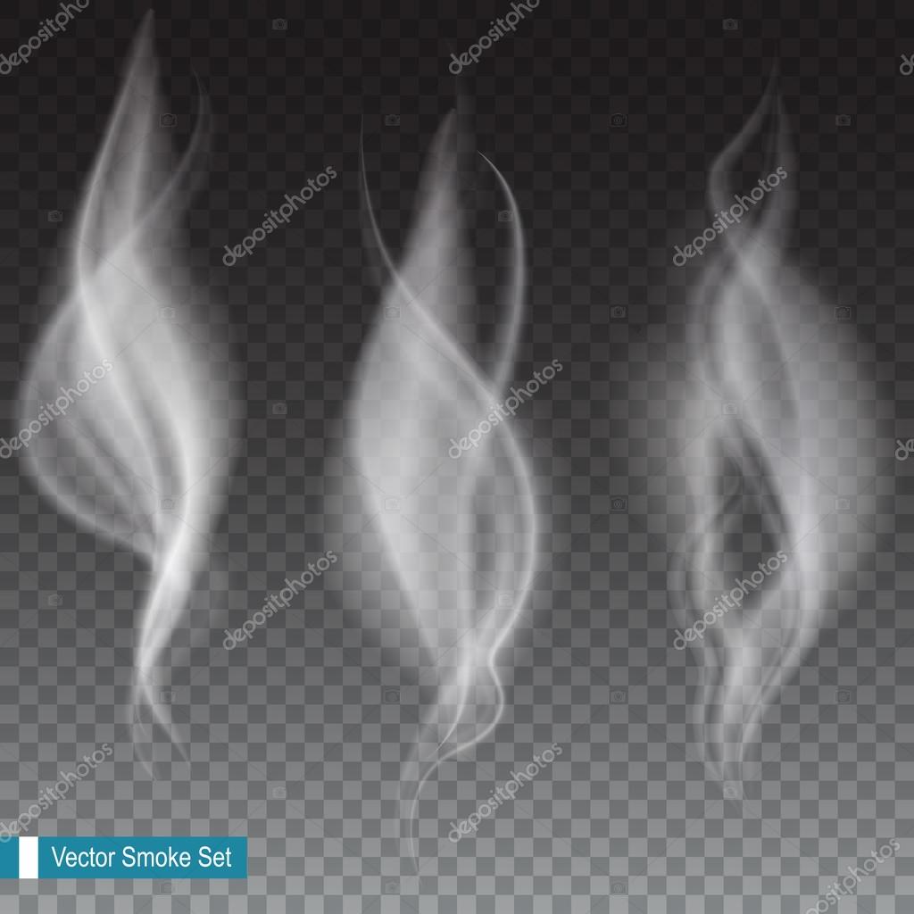 White smoke waves transparent Stock Vector Image by ©master-erik #92293978