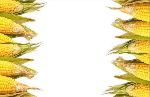 A cornfield Stock Photos, Royalty Free A cornfield Images | Depositphotos