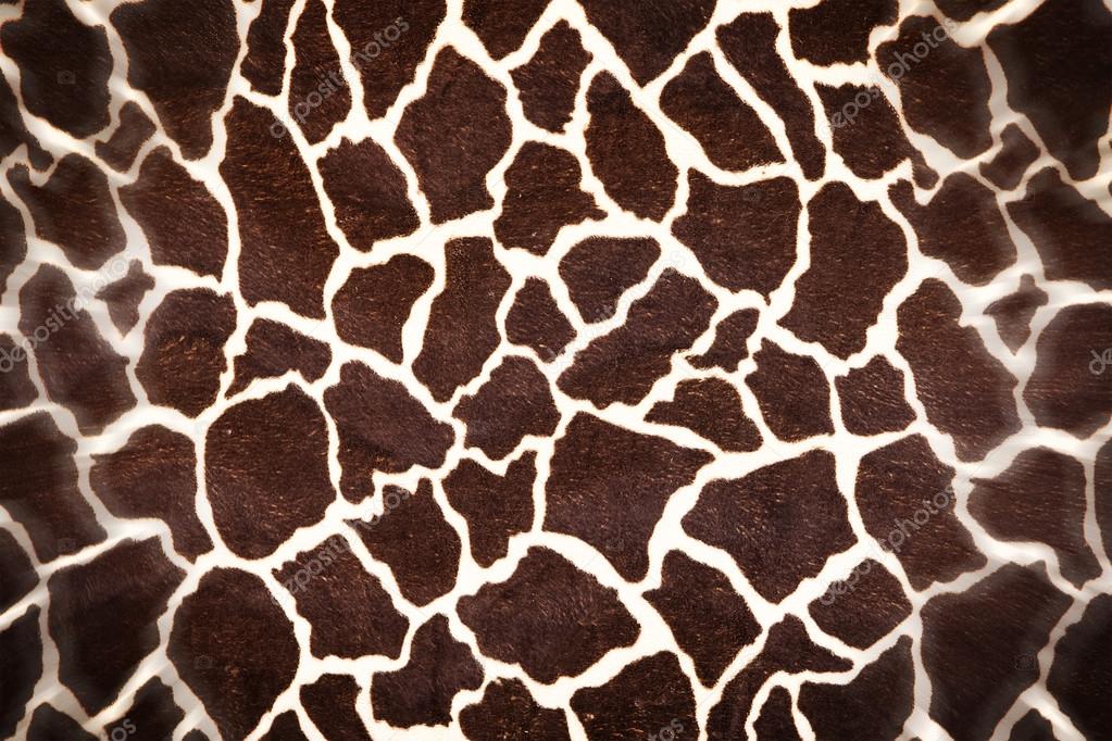 Giraffe skin pattern as background Stock Photo by ©plepraisaeng 72616097