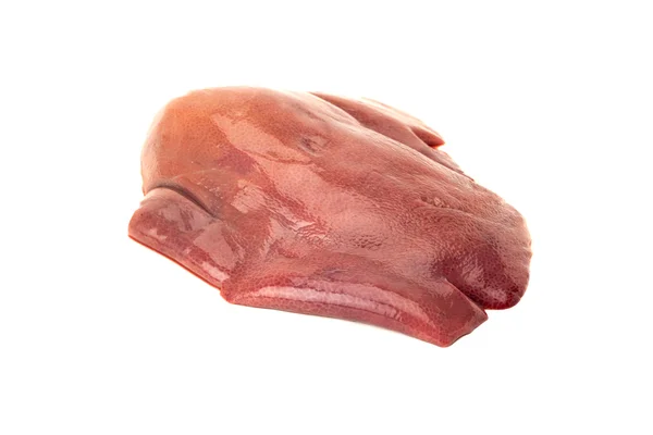 Sheep liver fluke Stock Photos, Royalty Free Sheep liver fluke Images ...