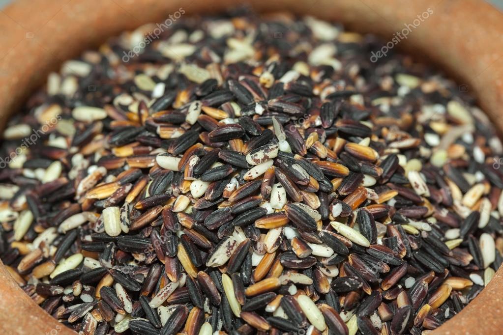 Black glutinous rice — Stock Photo © sriharun #54877097