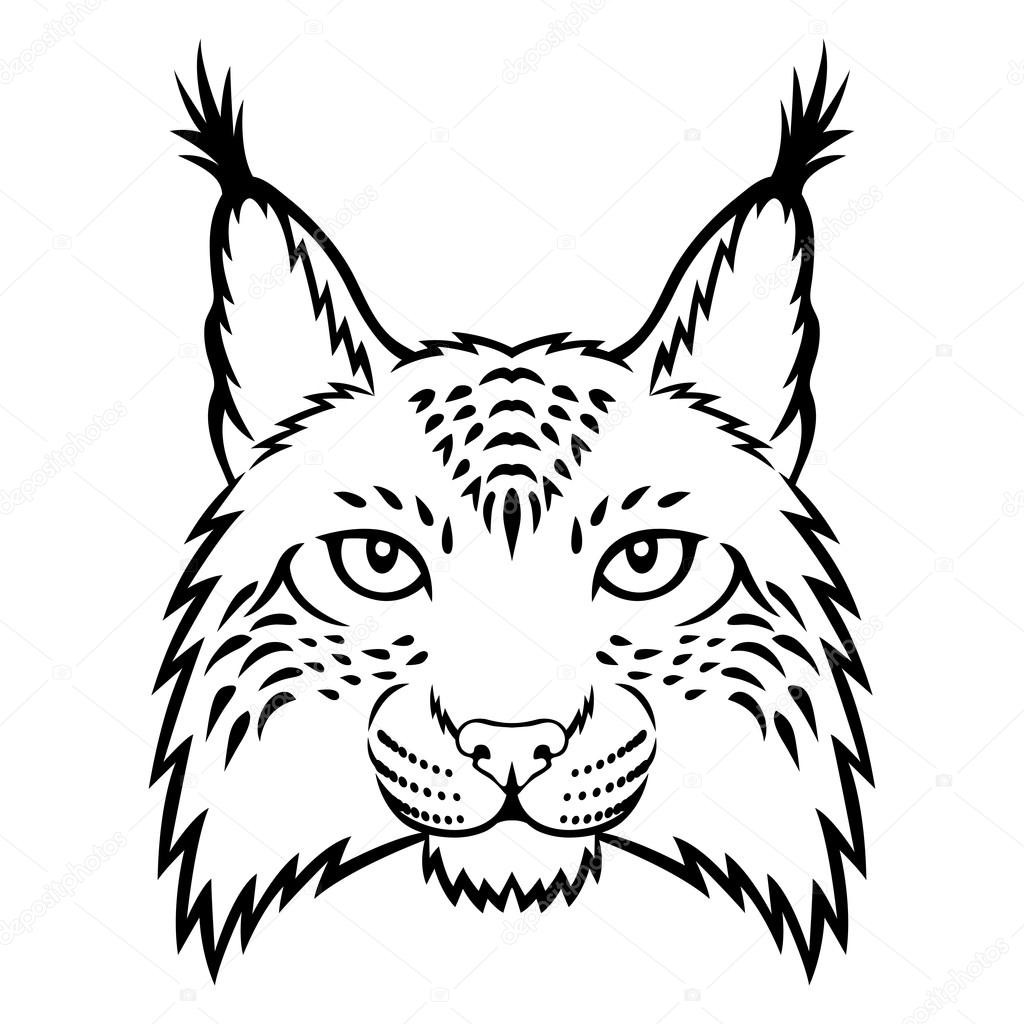 Lynx — Stock Vector © komissar008 #82786220 Lynx — Stock Vector © komissar008 #82786220