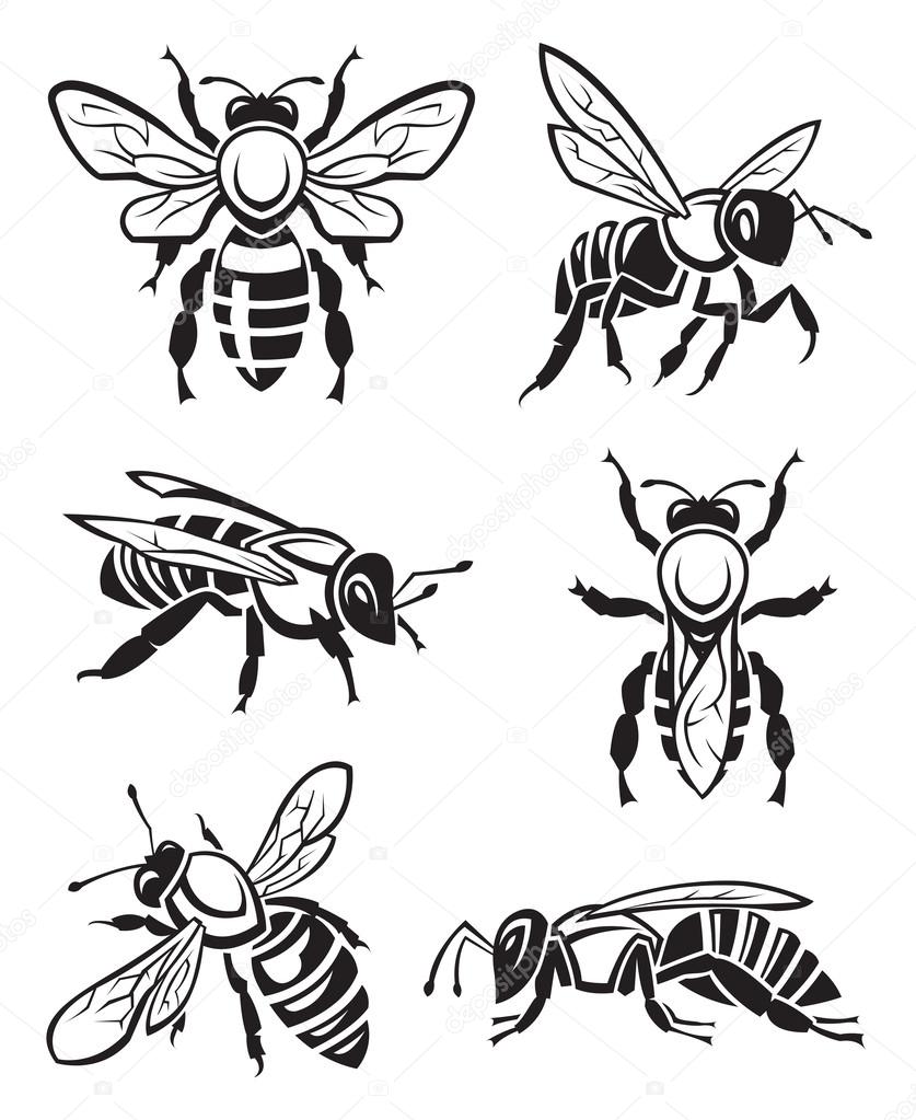 Set of bees Stock Vector Image by ©alexkava #55325479