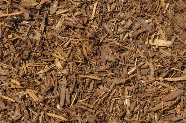 Mulch Stock Photos, Royalty Free Mulch Images | Depositphotos