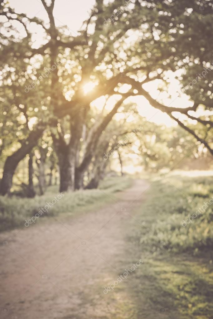 Nature Wallpaper Instagram Photos