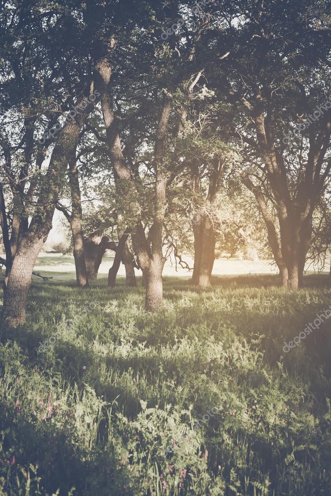 Nature Instagram Wallpaper Hd