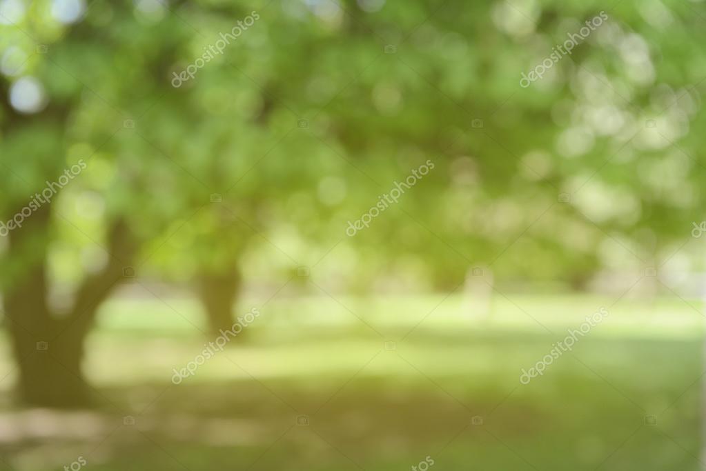 Background: blurry nature | Blurred Nature Background — Stock Photo ...