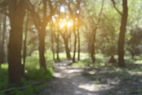 Blurred Nature Background - Stock Image - Everypixel