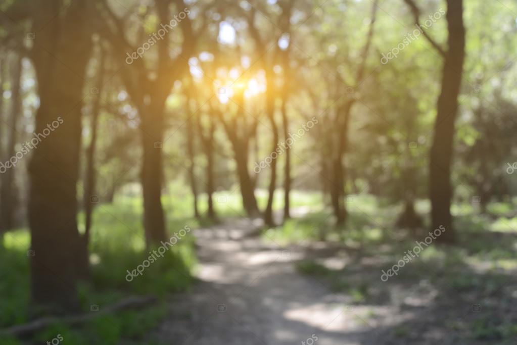 Fond de nature floue image libre de droit par slickspics © #72826255