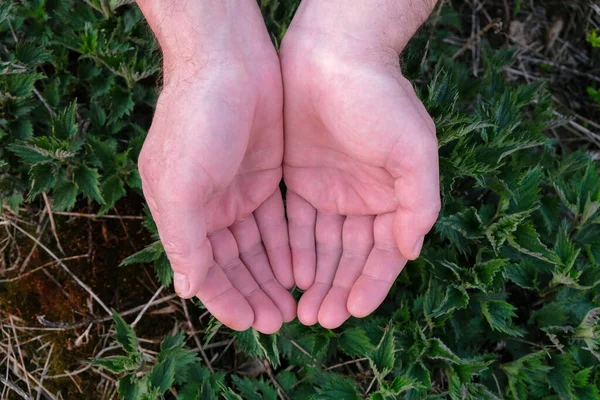 Handshake nature Stock Photos, Royalty Free Handshake nature Images ...