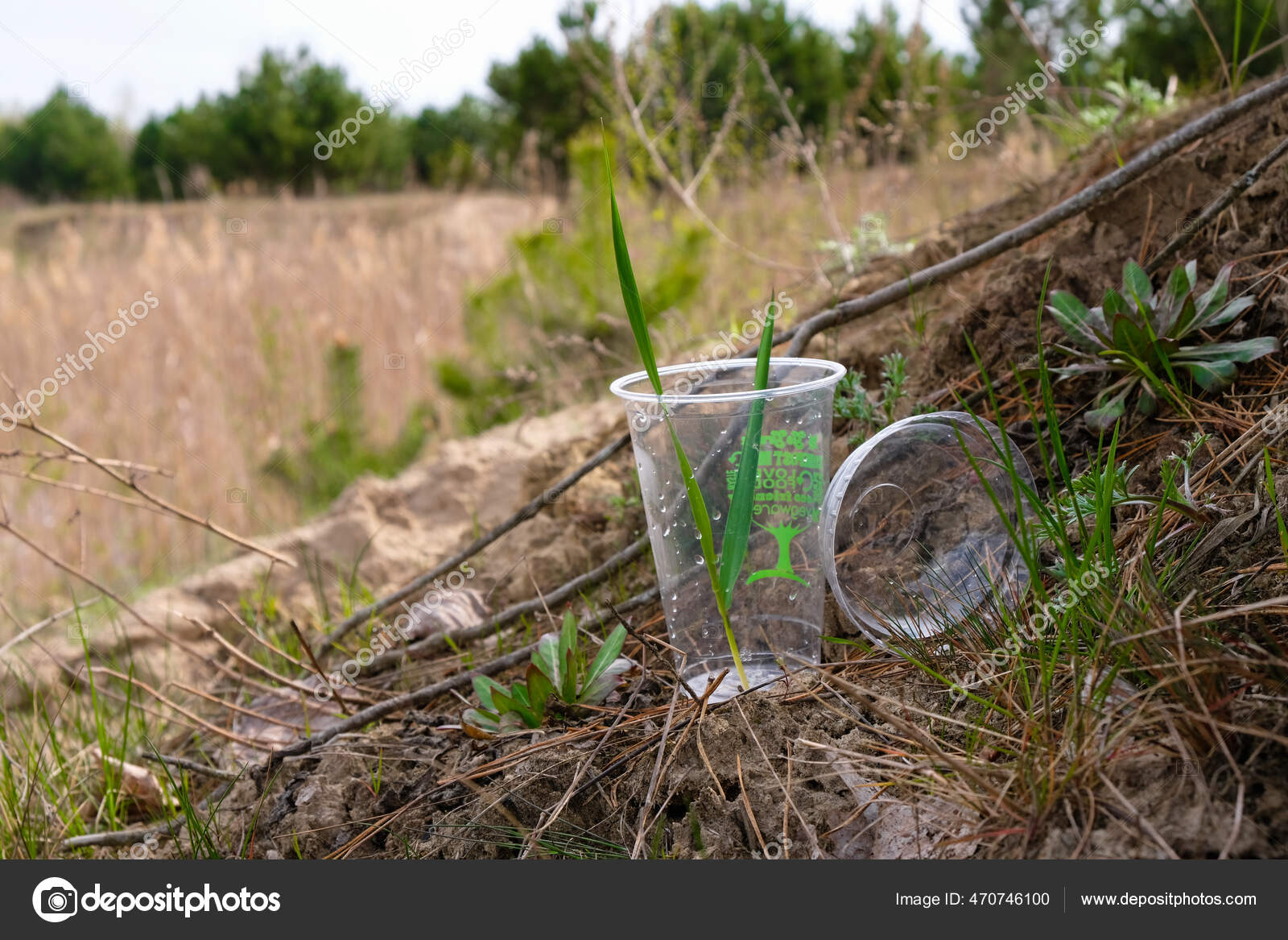 Glasses Compostable Bioplastic Nature Background Plastic Free Stock ...