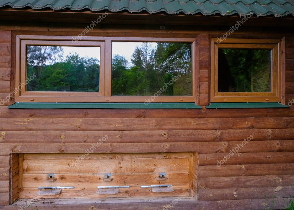 Casa de madera para la colmena apitherapy en el colmenar del bosque ...