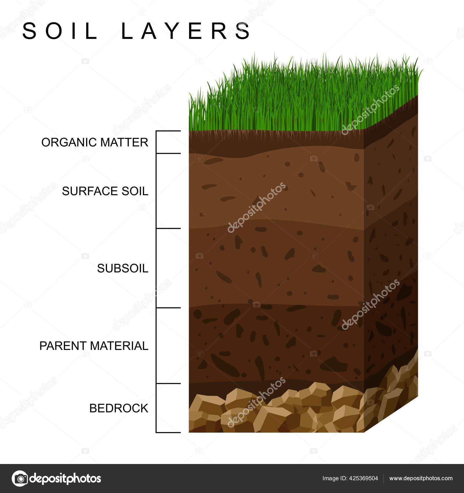 Las Capas De Suelo De La Tierra Capas Del Suelo YouTube