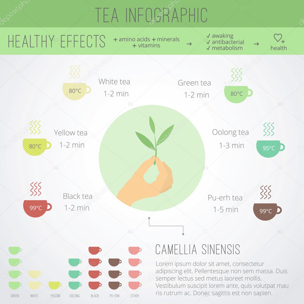 Tea time infographics Stock Vector Image by ©homobibens #59277287