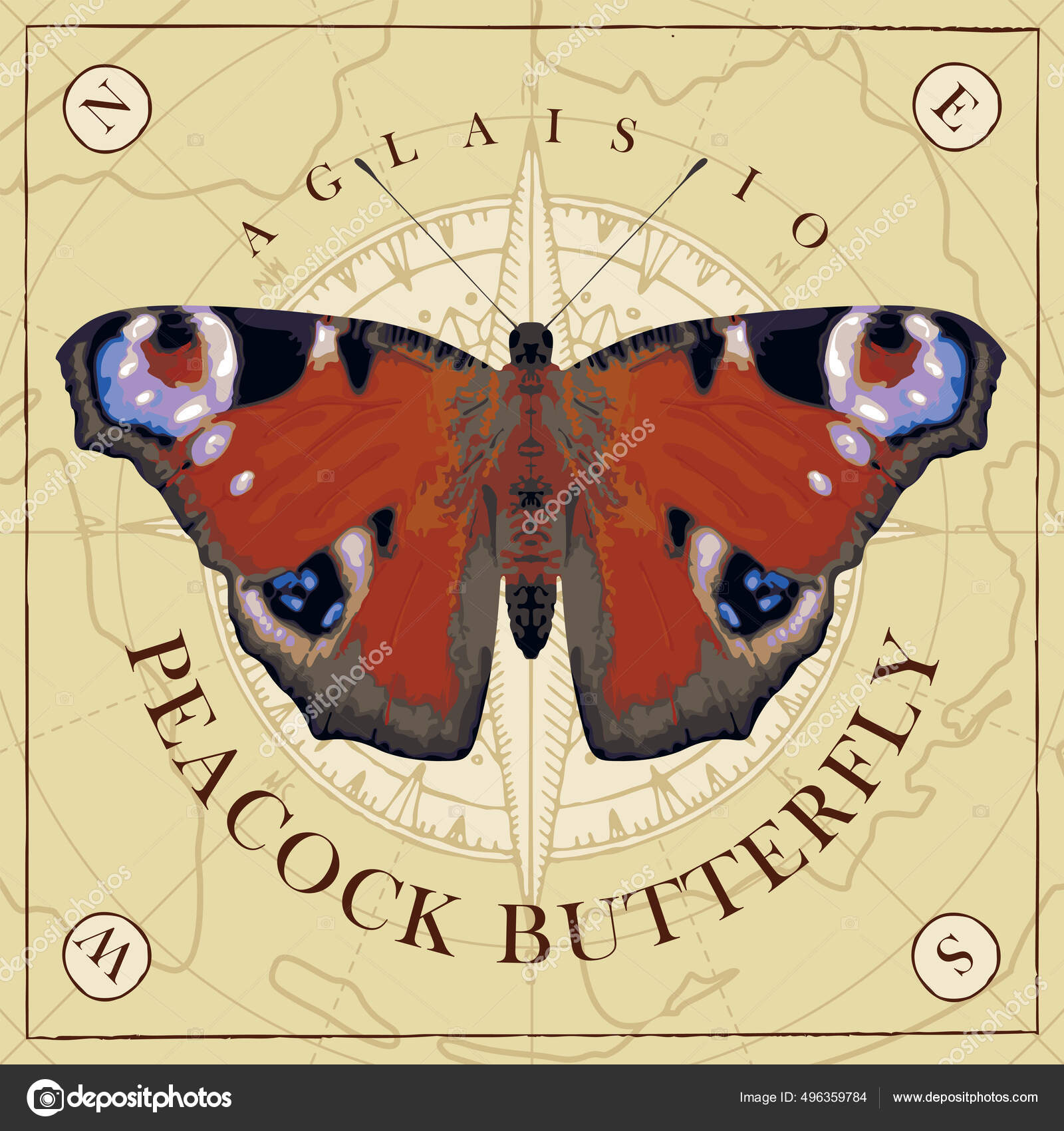 Illustration Peacock Eye Butterfly Open Wings Background Old Map ...