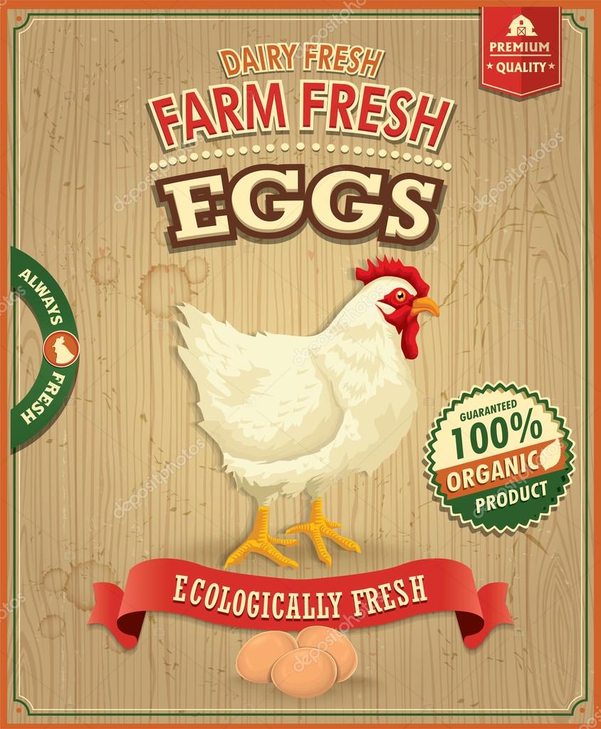 Vintage farm fresh eggs poster design — Stock Vector © Donnay #76198839