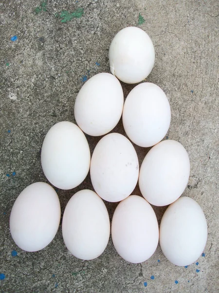 Huevos grandes fotos de stock, imágenes de Huevos grandes sin royalties ...