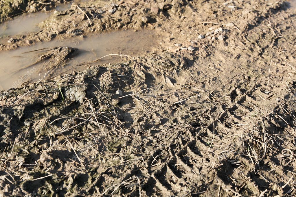 Wheel tracks on the soil. Stock Photo by ©luknaja 60570915