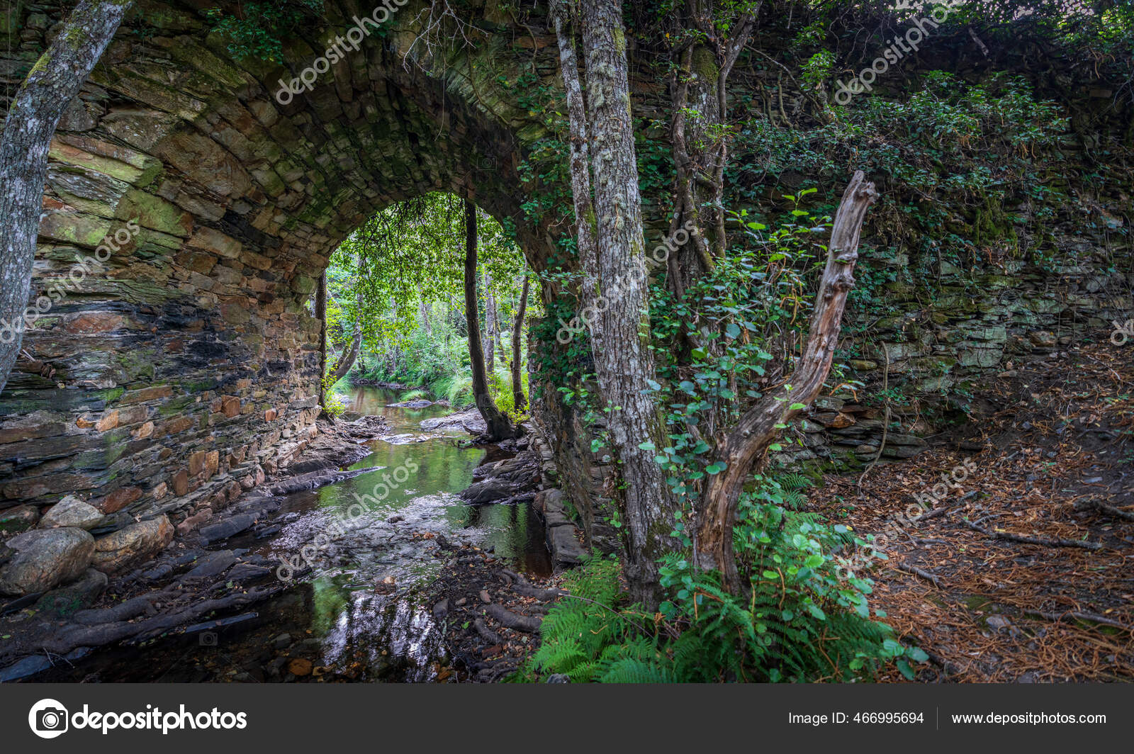 Stonebridge In Forest