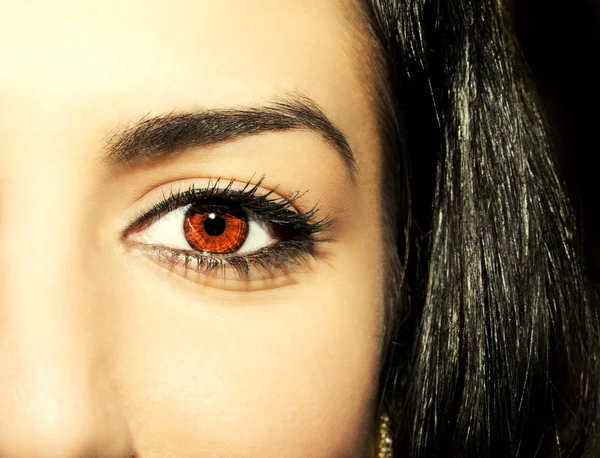 Aux yeux rouges images libres de droit, photos de Aux yeux rouges ...