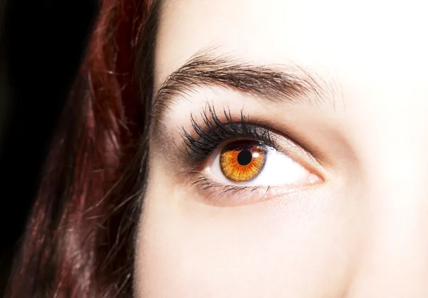 Amber Colored Eyes In Humans