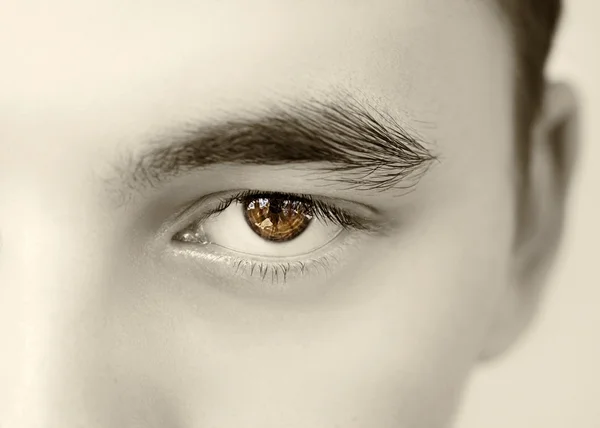 Man golden eyes Stock Photos, Royalty Free Man golden eyes Images ...
