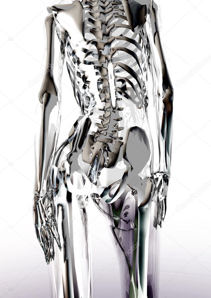 Digital visualization of a glassy female body — Stock Photo © 3quarks ...