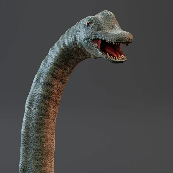 Brachiosaurus Head