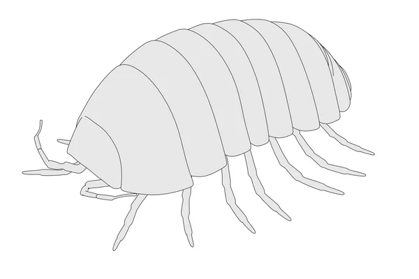 Pill Bug Coloring Pages