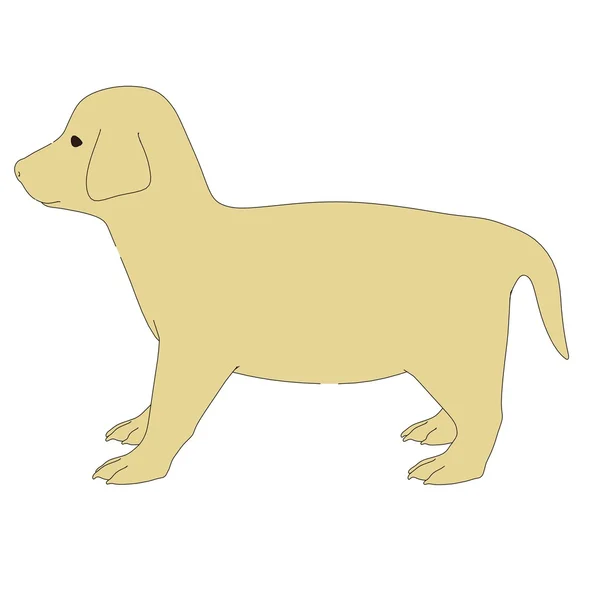 Golden Retriever Puppy Clip Art