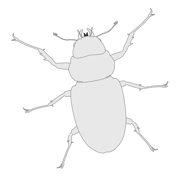 Jitterbug Insect