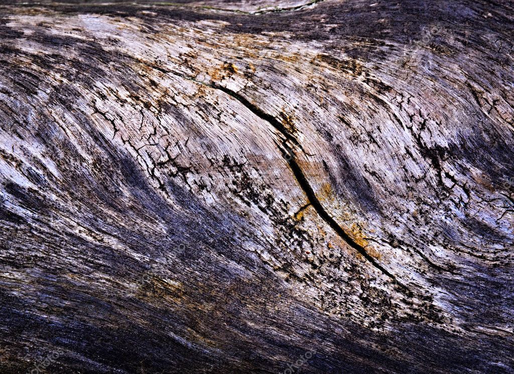 Old rotten wood — Stock Photo © Ahojdoma #53331107