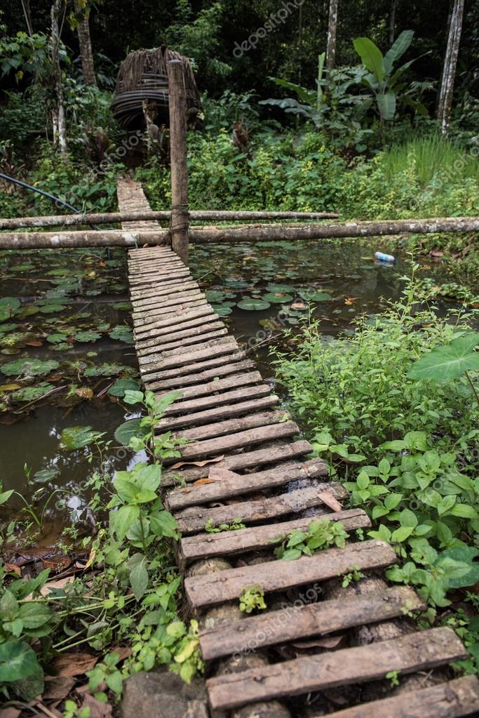Narrow Wooden Bridge — Stock Photo © eugenef #97891496