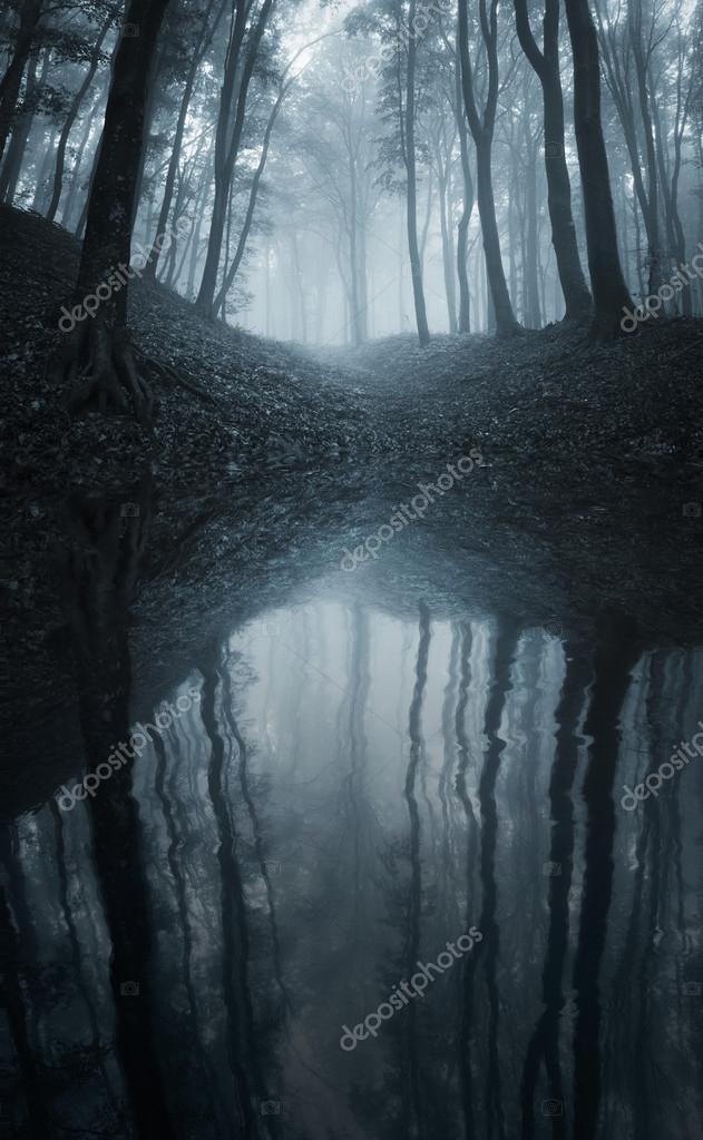 Lake in dark forest with mysterious fog — Stock Photo © photocosma ...