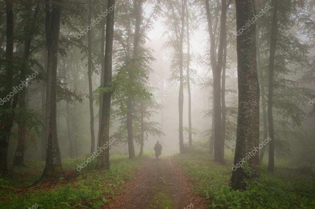 Man walking in mysterious forest with fog Stock Photo by ©photocosma 53749183