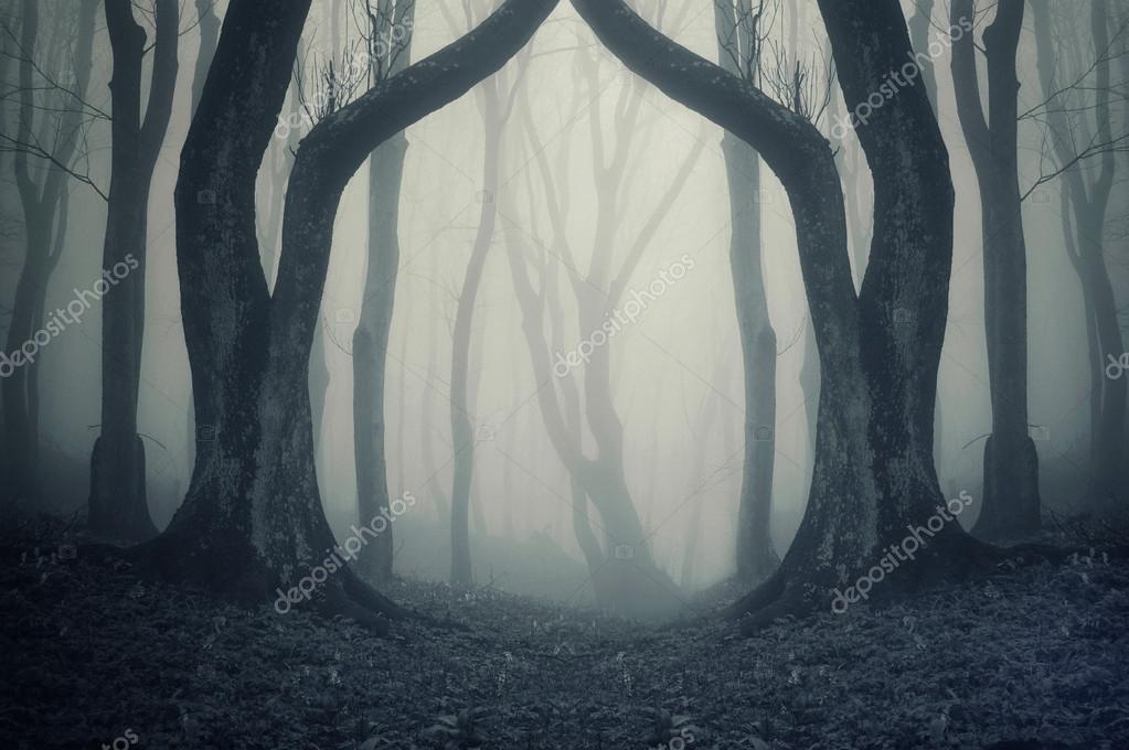 Halloween in mysterious forest with fog and spooky trees — Stock Photo © photocosma #54731119