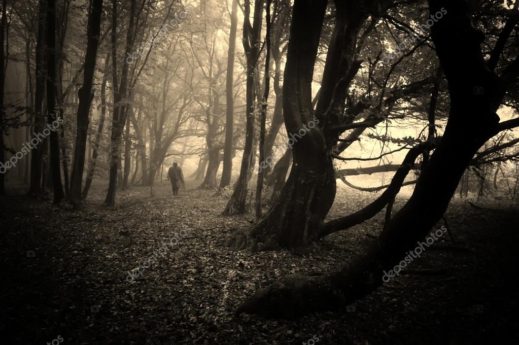 Ghost in mysterious dark forest with fog on Halloween — Stock Photo ...