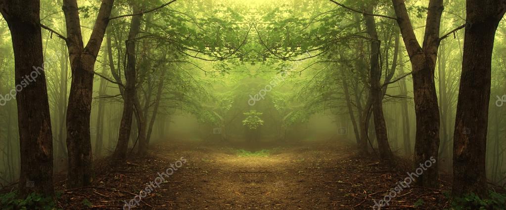 Symmetrical green fantasy forest — Stock Photo © photocosma #55756129