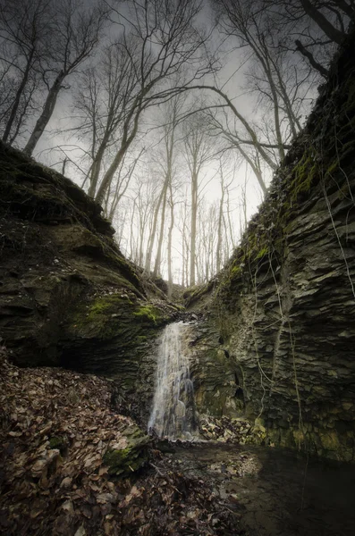 Dark forest stream Stock Photos, Royalty Free Dark forest stream Images ...